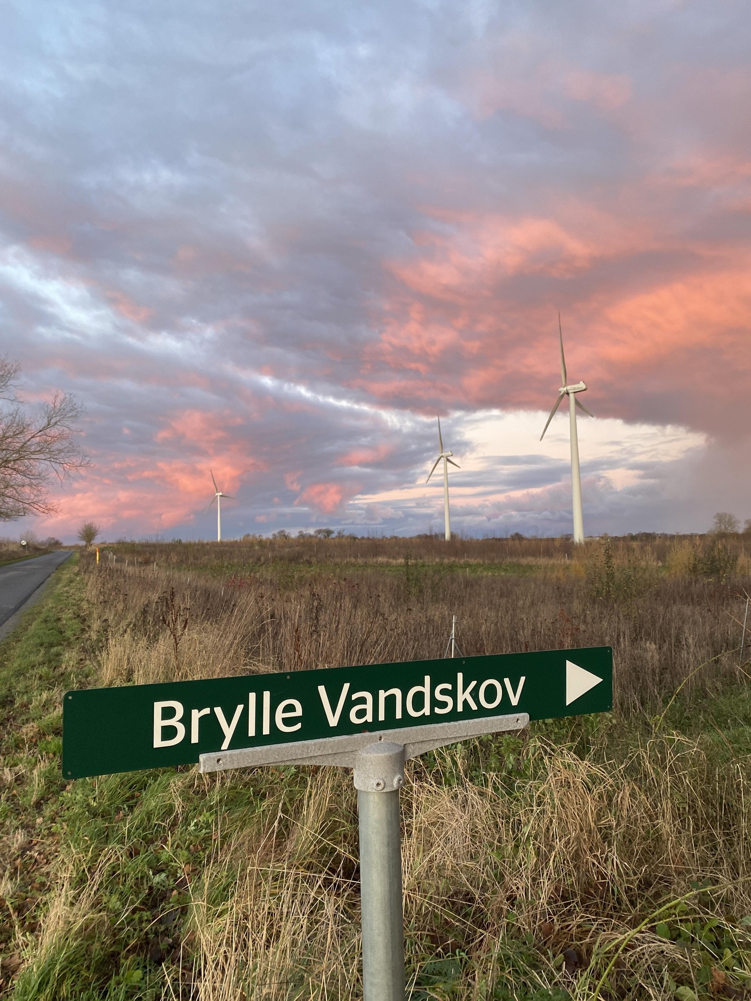 HCA Marathon – Motionskalender.dk