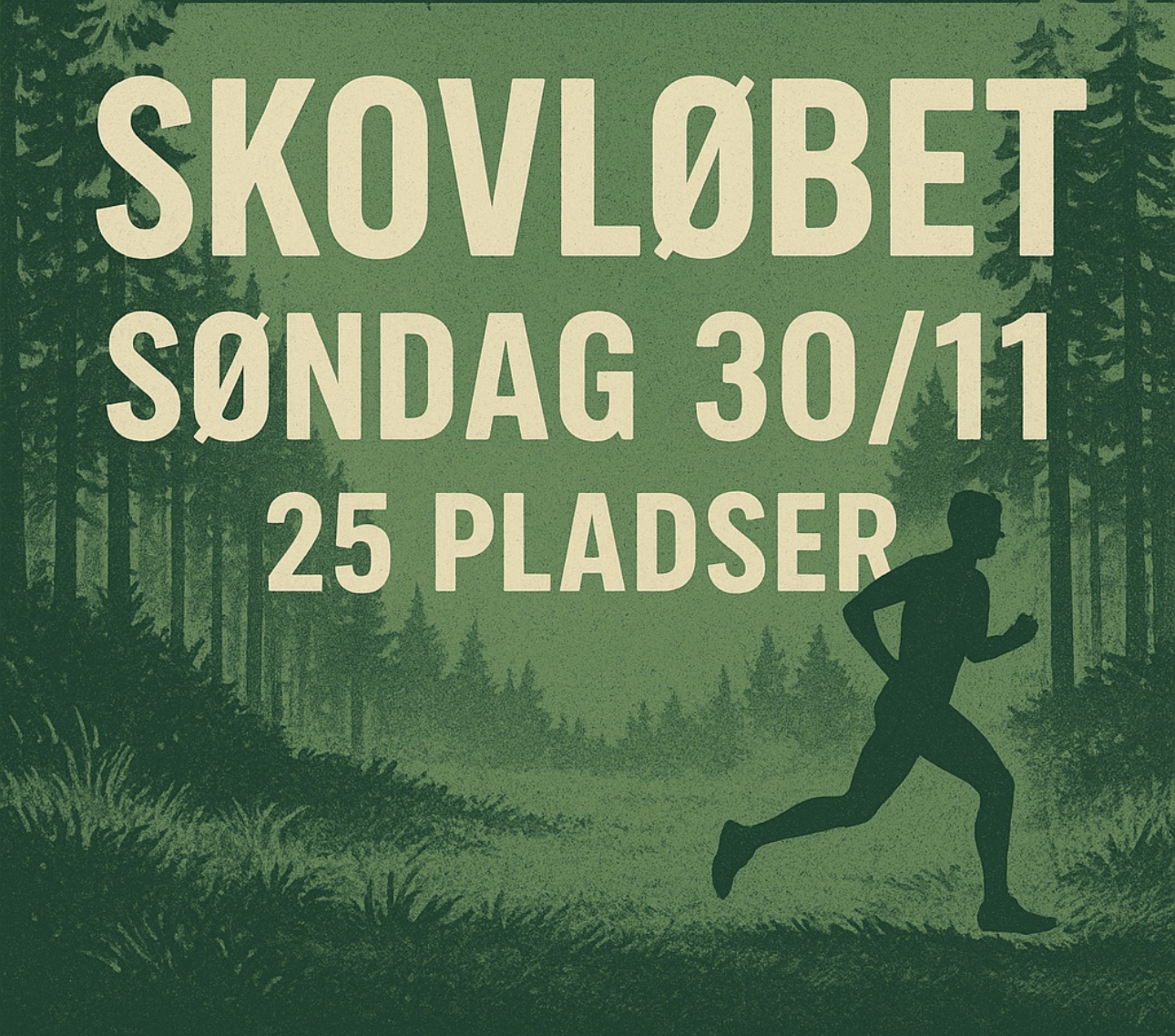 Skagen Marathon 2025 – Motionskalender.dk